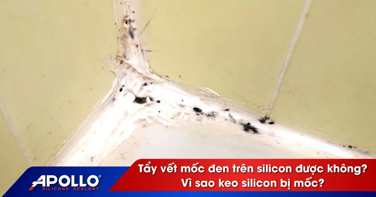 TẨY VẾT MỐC ĐEN TRÊN SILICON ĐƯỢC KHÔNG? VÌ SAO KEO SILICON BỊ MỐC?