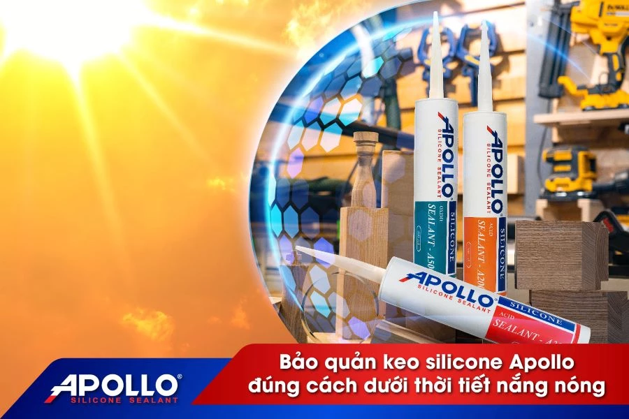 KINH NGHIỆM SỬ DỤNG | APOLLO SILICONE