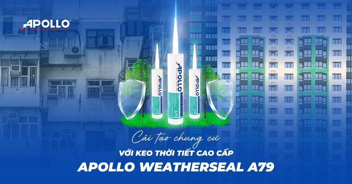 CẢI TẠO CHUNG CƯ VỚI KEO THỜI TIẾT CAO CẤP APOLLO WEATHERSEAL A79