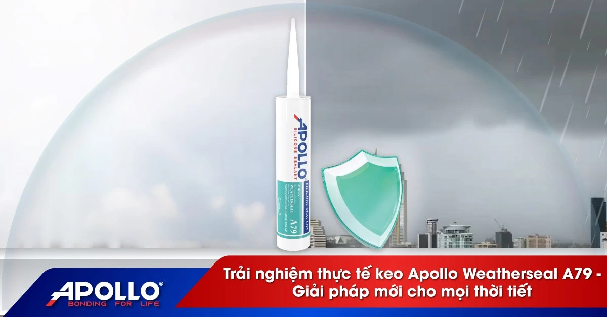 TRẢI NGHIỆM THỰC TẾ KEO APOLLO WEATHERSEAL A79 - GIẢI PHÁP MỚI CHO MỌI THỜI TIẾT