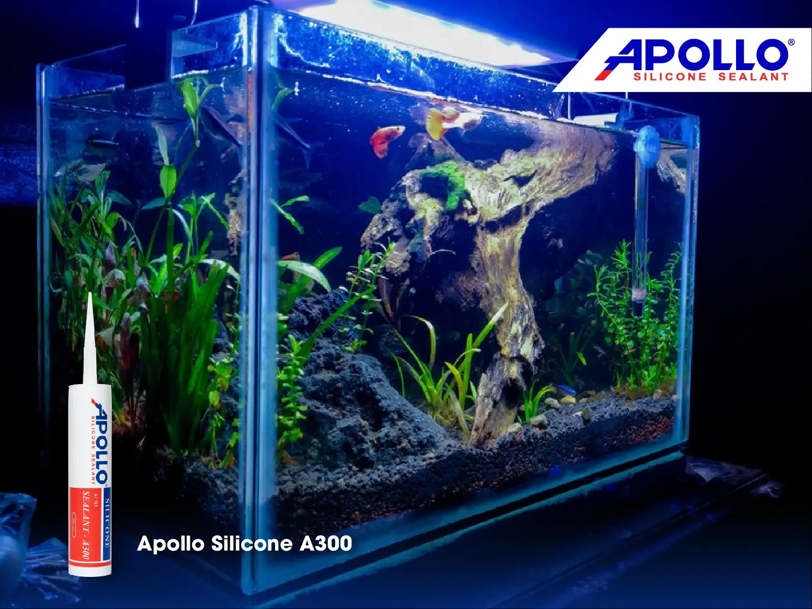 CẬP NHẬT GIÁ KEO SILICONE APOLLO A300 TỐT NHẤT NĂM 2023